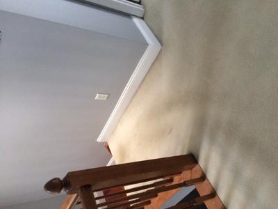 9/16-in x 5-1/4-in x 12-ft Traditional Primed MDF L163E Baseboard ...