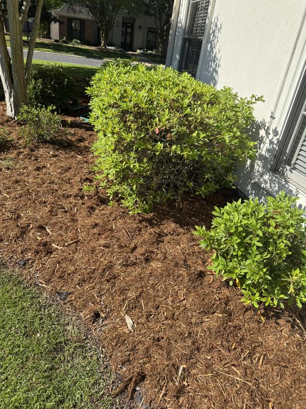 Cypress Elite All Bark Cypress Mulch 3-cu ft Rustic Red Brown 100% ...