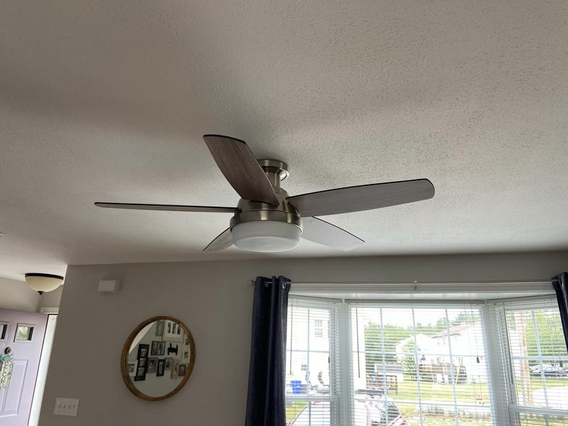 Hunter Avia 48-in Brushed Nickel Indoor Flush Mount Ceiling Fan with ...