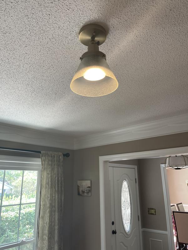 Utilitech Led light bulb 75 -Watt EQ PAR30 Short Neck Daylight Medium ...