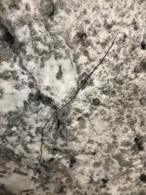 Formica Brand Laminate Premiumfx 60-in W x 144-in L Argento Romano ...