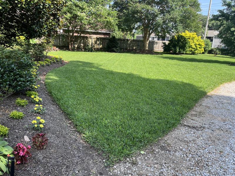 Lesco General Fertilizer 50-lb 18750-sq ft 30-0-10 All-purpose ...