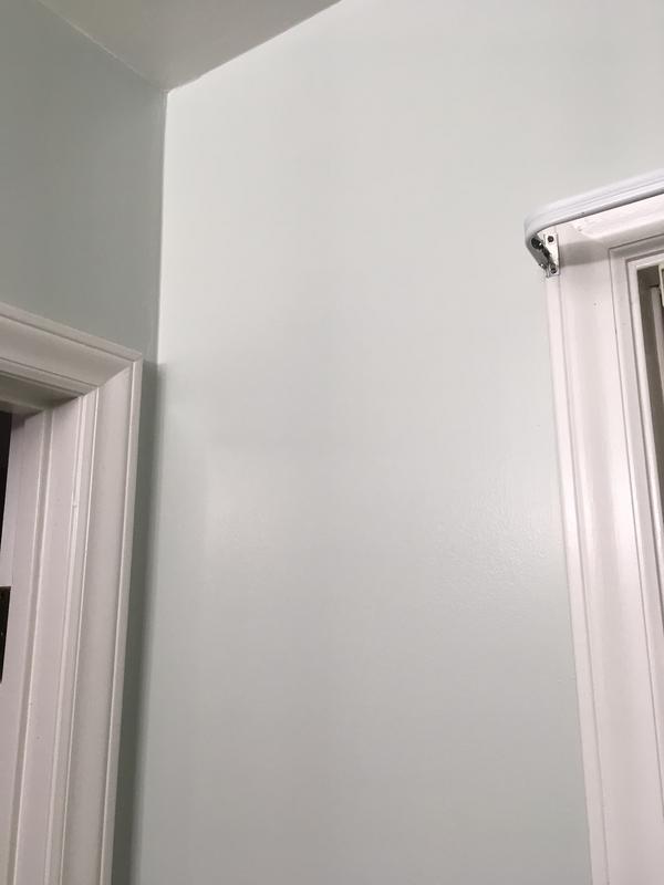 STAINMASTER Performance Satin Silver Linings Tintable Acrylic Interior ...