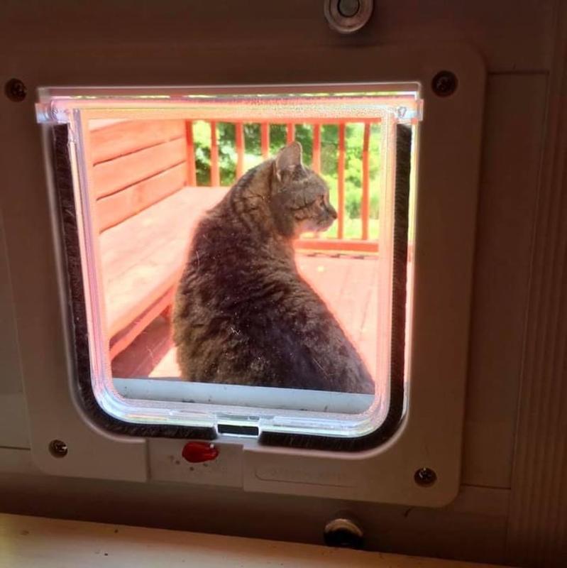 Ideal Pet Products White Aluminum Extra small Cat Door for Window in ...