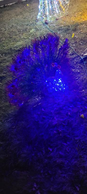 Holiday Living 24-in Freestanding Peacock Free standing decoration with ...