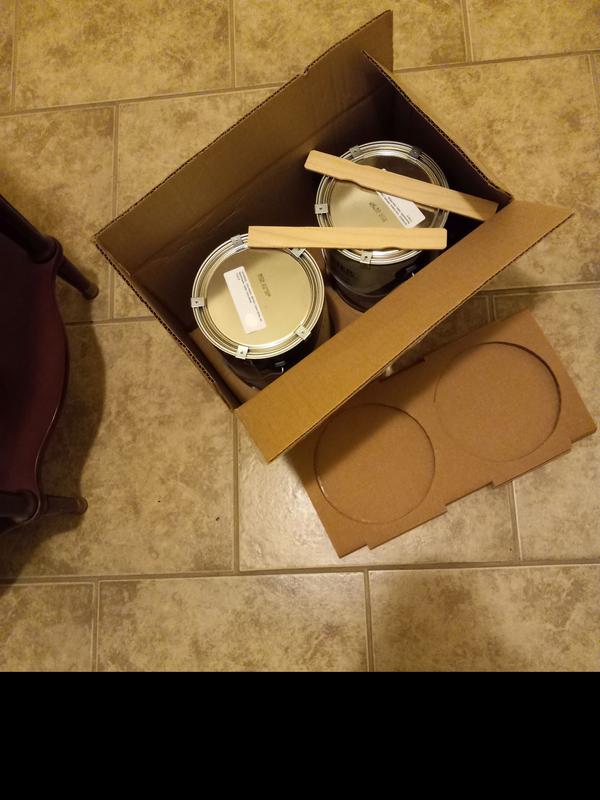 Shop STAINMASTER Truffle Paint Project Kit at Lowes.com