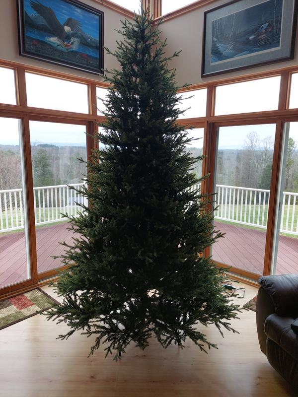 Holiday Living Acadia 9-ft Spruce Pre-lit Artificial Christmas Tree ...