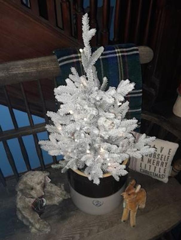 Puleo International 2-ft Pine Pre-lit Slim Flocked Artificial Christmas ...