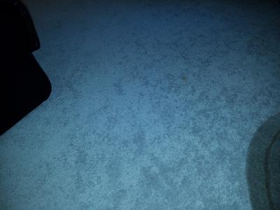 STAINMASTER 13-mm Foam Carpet Padding with Moisture Barrier BM0039 at ...