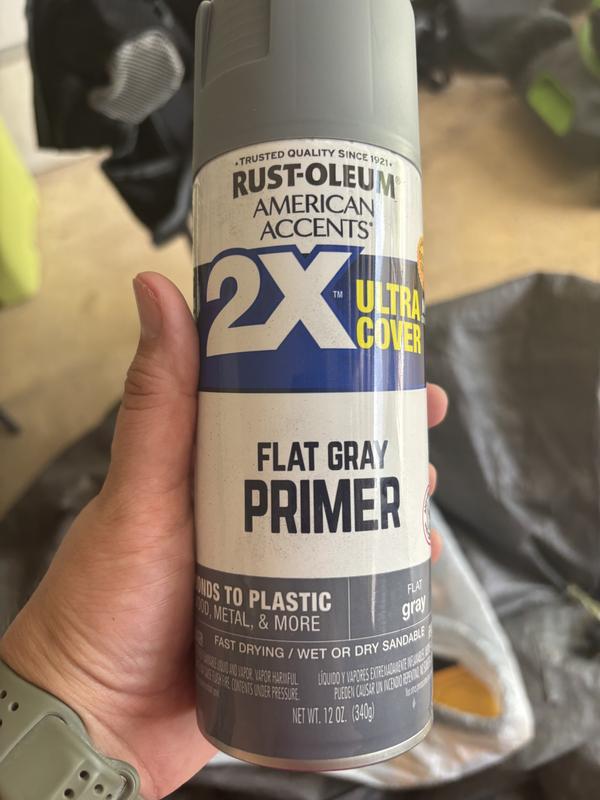 Shop Rust-Oleum (2-Pack) American Accents 2X Ultra Cover Flat Gray Oil ...