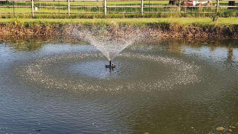 pond boss 14.3-in x 14.3-in x 18.9-in Black Plastic Pond Floating ...