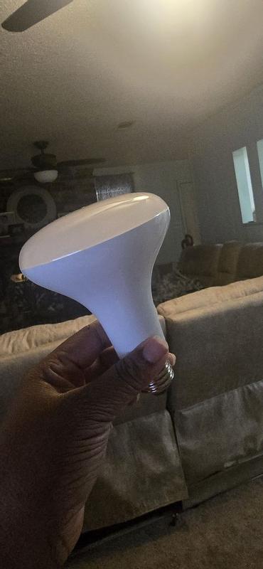Project Source Led light bulb 60 -Watt EQ BR30 Warm white Medium screw ...