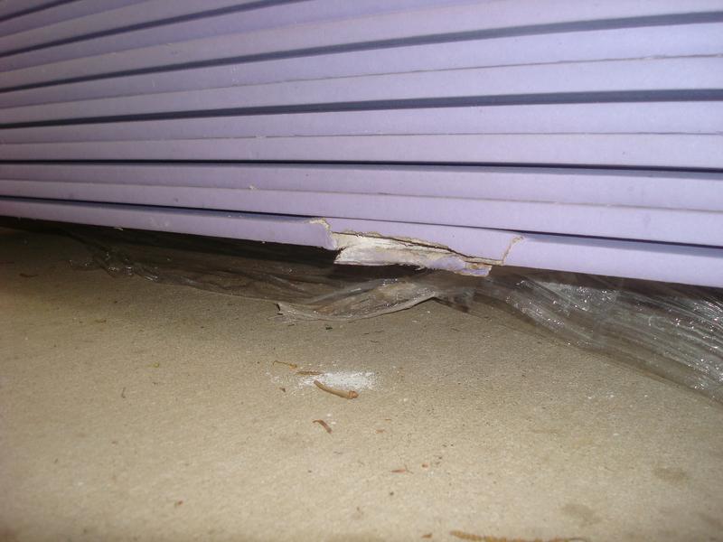 Gold Bond 5/8-in x 4-ft x 12-ft XP Fire-Shield Mold Resistant Moisture ...