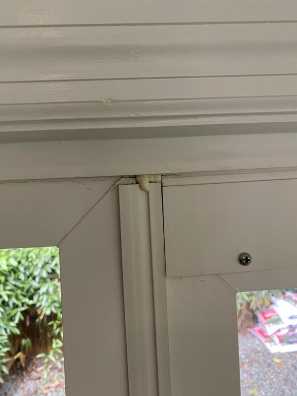 GREAT STUFF Gaps and Cracks 20-oz Straw Indoor/Outdoor Spray Foam ...