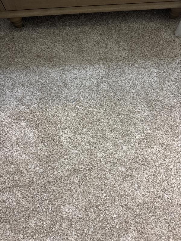 STAINMASTER Soft Shadows II Almond Tan 55-oz sq yard Solution-dyed ...