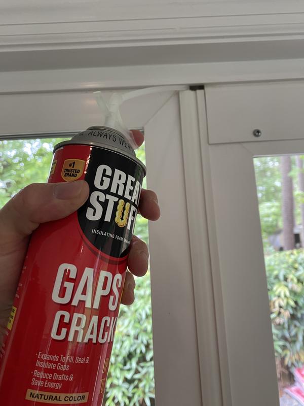 GREAT STUFF Gaps and Cracks 20-oz Straw Indoor/Outdoor Spray Foam ...