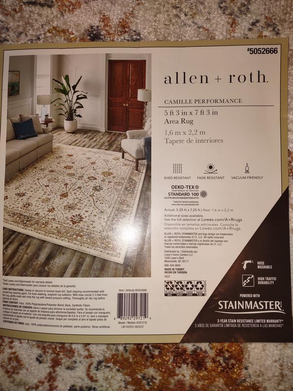 allen + roth with STAINMASTER Camille Border 5 X 8 (ft) Beige Indoor ...