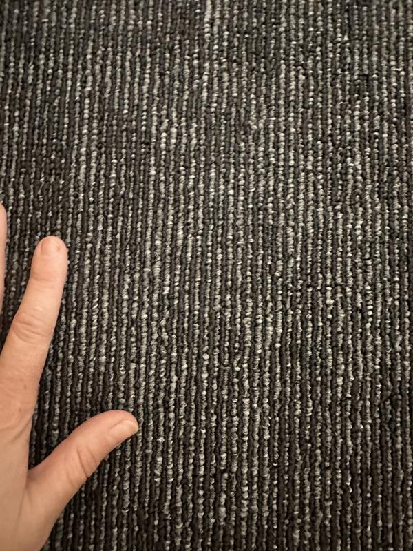 Shaw Solace 24-in x 24-in Resnik Gray Commercial Adhesive Indoor Carpet ...