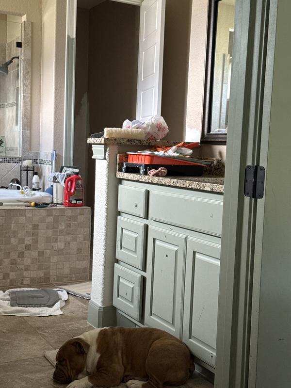 Valspar Signature Eggshell Patio Stone 2008-5B Latex Interior Paint ...