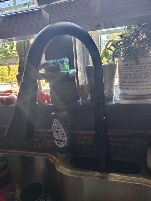 allen + roth Bryton Stainless Steel Single Handle Pull-down Kitchen ...