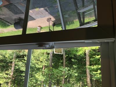 RELIABILT 3100 Series Replacement 27-1/2-in x 37-3/4-in x 2-5/8-in Jamb ...