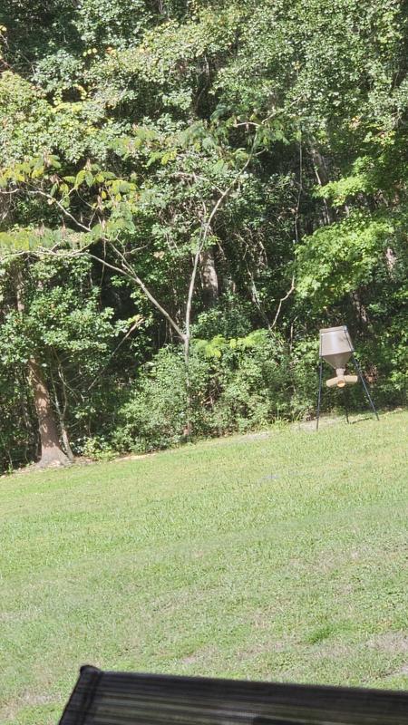 Boss Buck Gravity Deer Feeder for Game & Hunting w/ Adjustable Flow ...