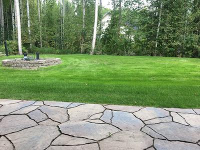 Arctic Gro Artic Gro 5-lb Natural Bluegrass Grass Seed 50507020 at ...