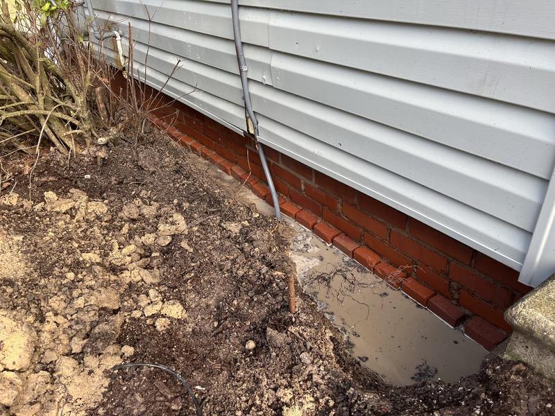 Sika Gray Matte Solid Cement Mildew Resistant Mold Resistant Interior ...