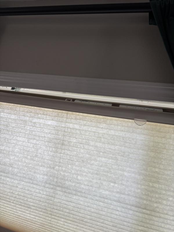 allen + roth 34.5-in x 64-in Alabaster Light Filtering Cordless Top ...