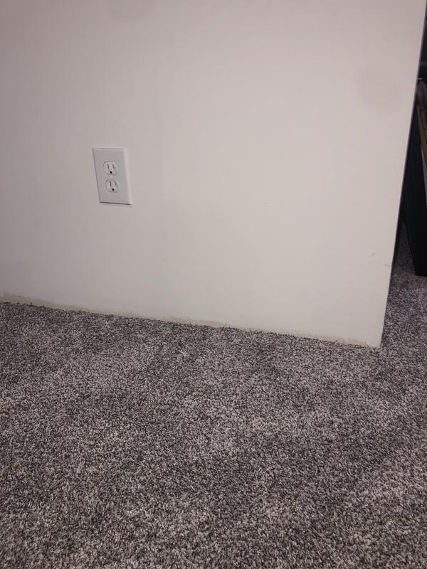 STAINMASTER PetProtect with LeakDefense Pet Parade II Sandstone Brown ...
