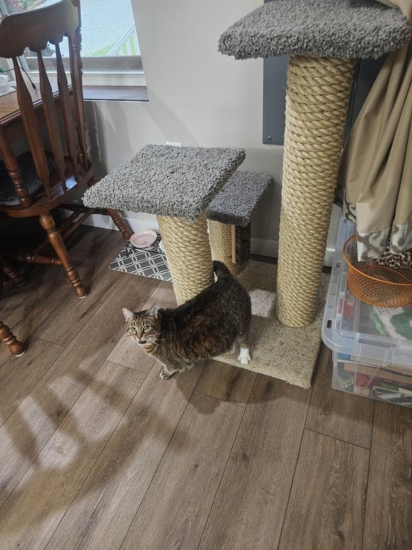 RELIABILT 0.5-in Twisted Sisal Rope (By-the-Foot) in the Rope ...