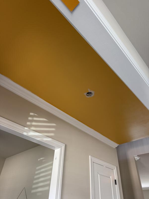 Valspar Ultra Satin Mint To Be HGSW2327 Latex Interior Paint Paint ...