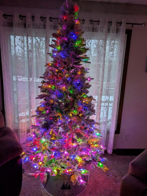 Shop Holiday Living Albany Tree Collection at Lowes.com