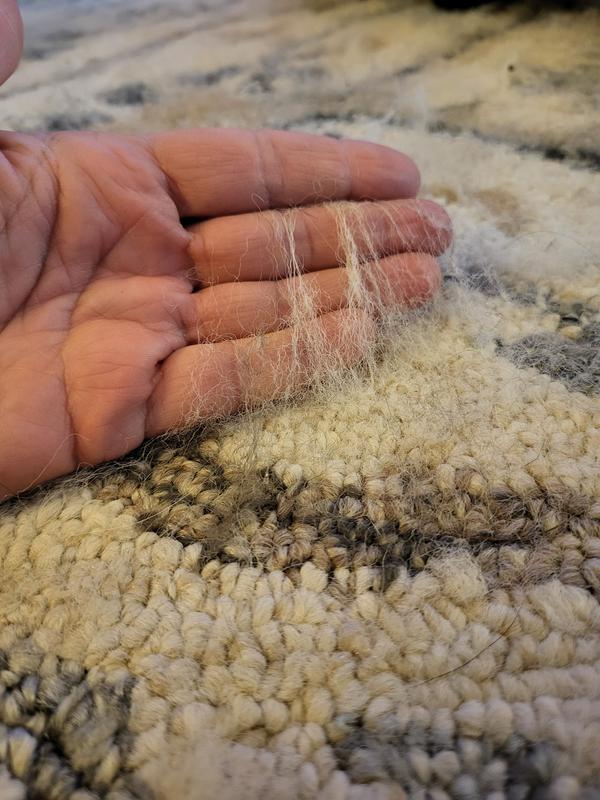 allen + roth with STAINMASTER Eleanor 8 x 10 (ft) Hooked Tonal Grey ...