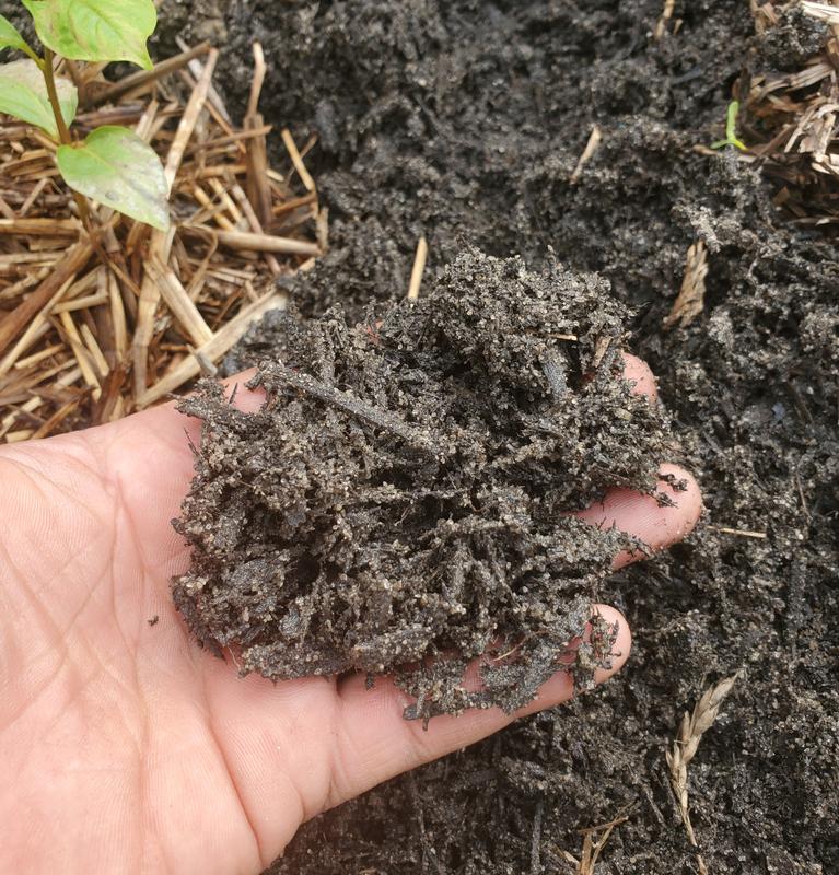 Evergreen Organic Compost Provides Organic Nutrients 648828 at Lowes.com