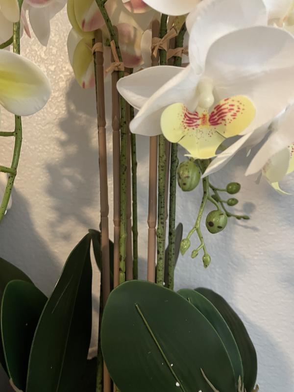 allen + roth 22-in White Indoor Orchid Artificial Flower in the ...