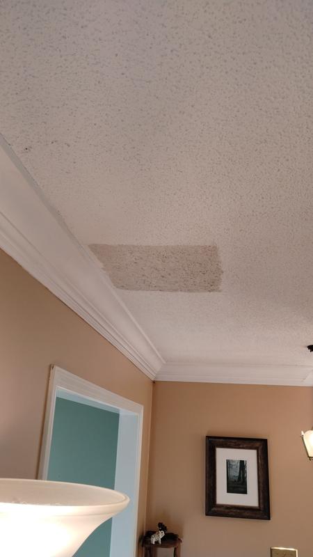 Homax Ceiling Texture Popcorn Sds | Shelly Lighting