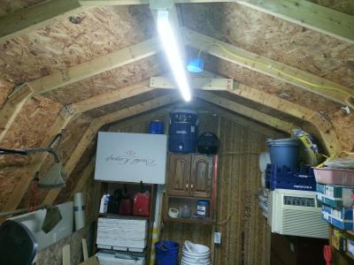 Utilitech Pro Cool White LED Strip Light MXL2005-LED1X20K840 at Lowes.com