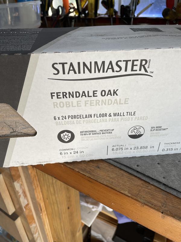 STAINMASTER Ferndale Oak 6-in x 24-in Matte Porcelain Wood Look Floor ...