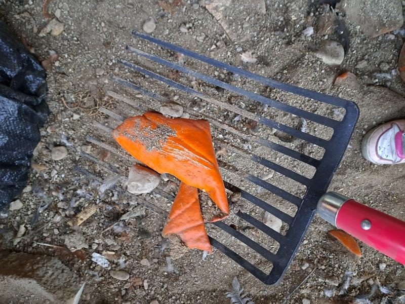 Razor-Back 30-in L Wood-Handle Steel Mulch Fork 76107 at Lowes.com