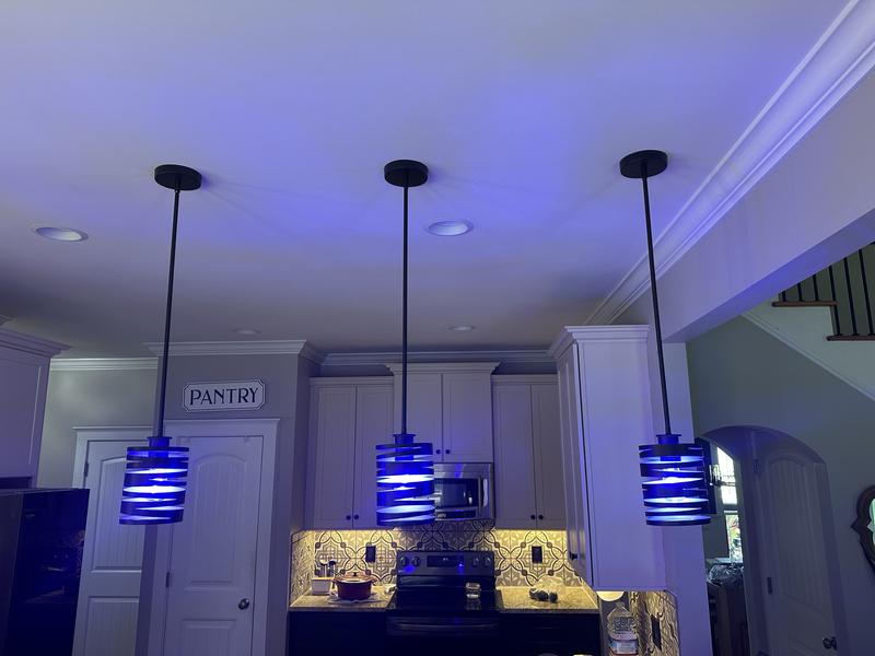 Style Selections Chrome Transitional Cylinder Mini Hanging Pendant ...