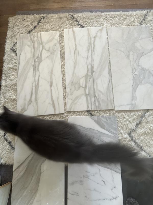 Apollo Tile Grandis White 12-in x 24-in Polished Natural Stone Marble ...