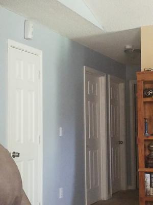 HGTV HOME by Sherwin-Williams Latitude Interior Eggshell Paint Sample ...