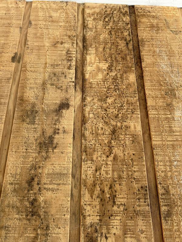 Plytanium 12-in Groove Pattern 0.59-in x 48.0-in x 96.0-in SYP Plywood ...