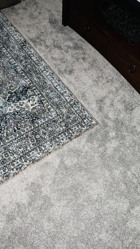 STAINMASTER Gentle Giant Dreamweaver Gray 70-oz sq yard Polyester ...