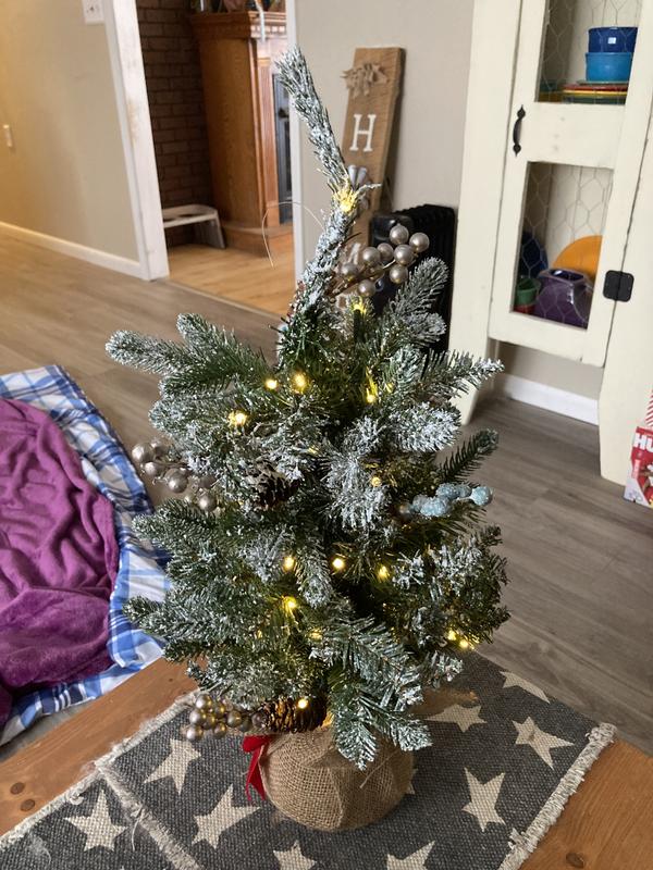 National Tree Company 2-ft Pre-lit Artificial Christmas Tree with White ...