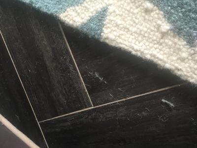 allen + roth Tufted Morningside 5 x 8 (ft) Tufted Wool Multicolor ...