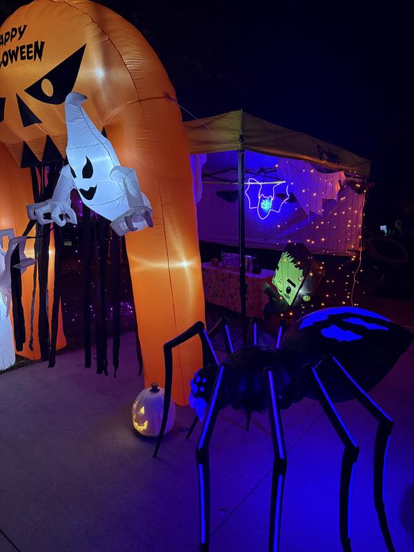 Haunted Living 2.5-ft Neon Lighted Bat Sign in the Halloween Decor ...