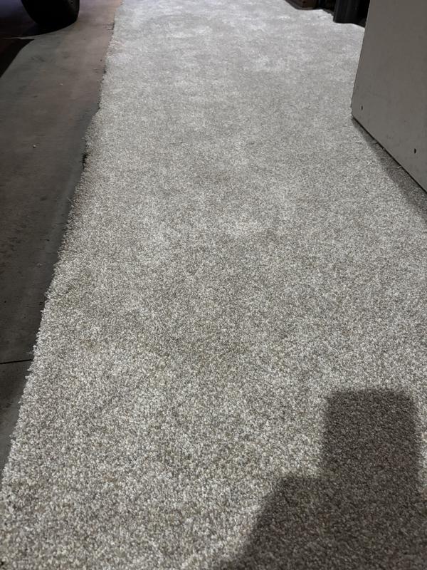 STAINMASTER Animated I London Fog Gray 48.8-oz sq yard Solution-dyed ...
