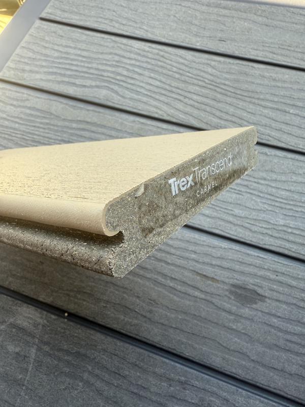 Trex Transcend Lineage 12-in Jasper Composite Deck Board (Sample) in ...